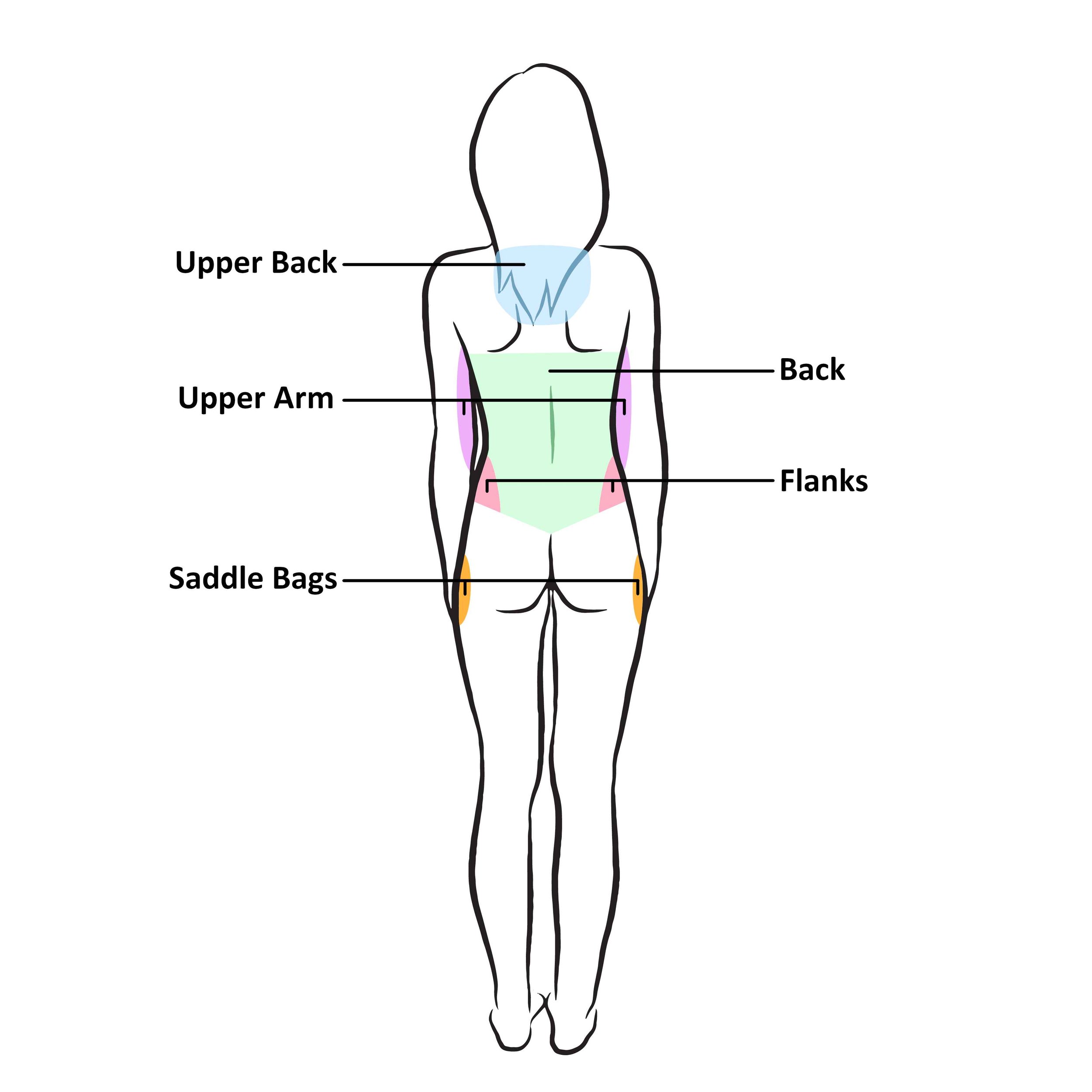 Fat Transfer – Valespring